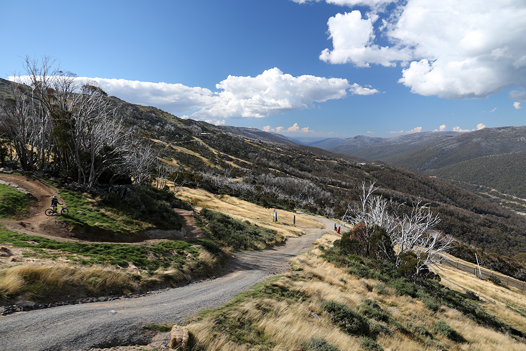 Steve and Jodies Travel Diary: Berridale Trip - Day 6