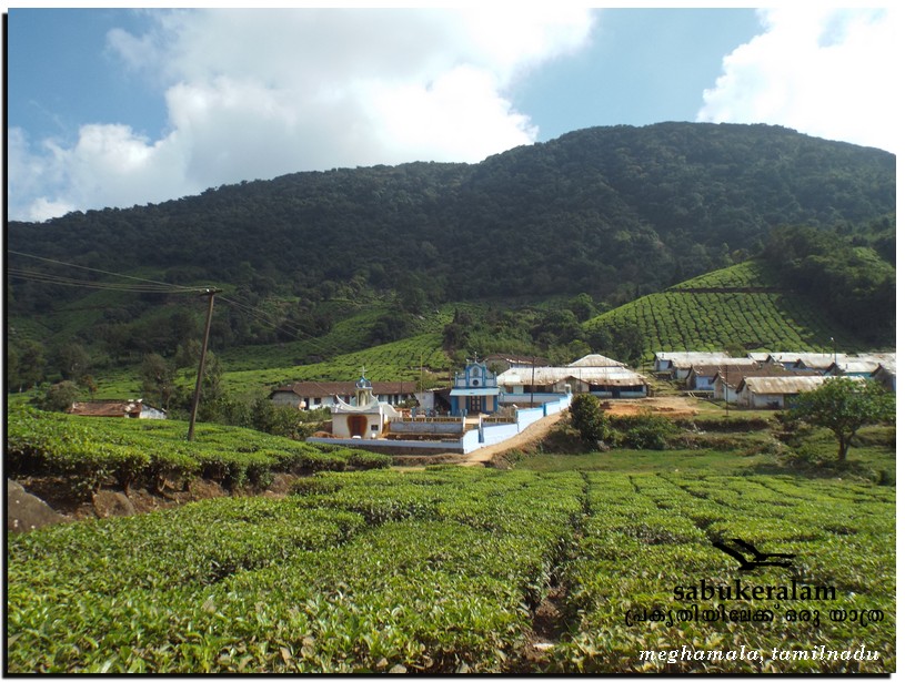 പ്രകൃതിയിലേക്ക് ഒരു യാത്ര (a travel towards NATURE): മേഘങ്ങളിറങ്ങുന്ന ...
