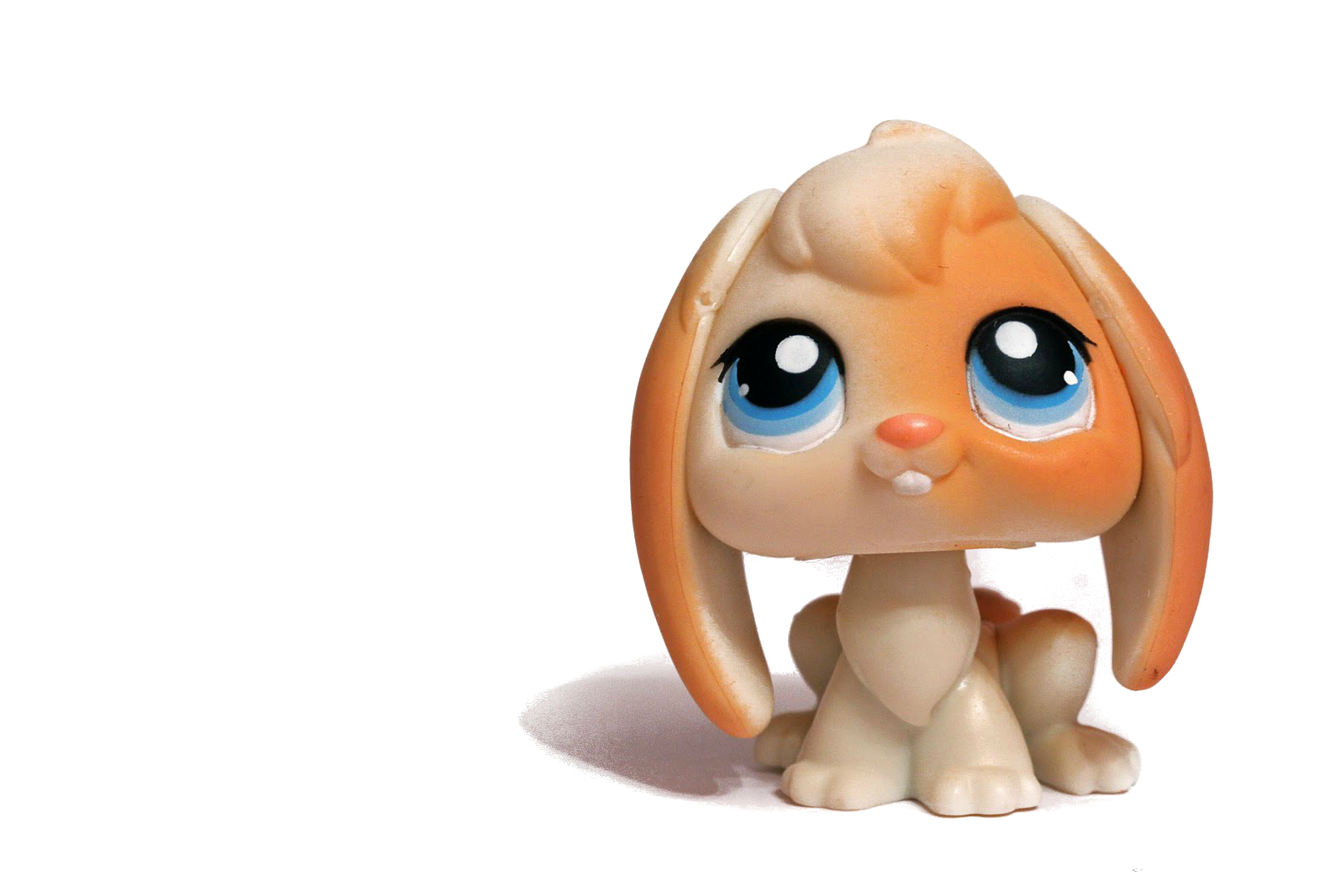 LPS Transparent