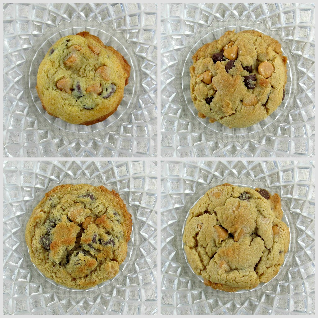 Rise and Shine: Chocolate Chip Cookies 12 ways (a side-by-side ...