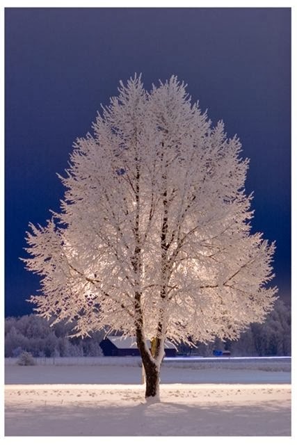 Destination: Austin Family: December 3 - Advent Devotional 2013