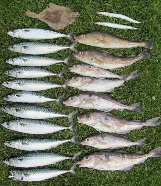 Fair Isle: Fishing with Stewart