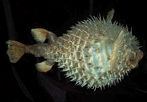 unique & xclusive: September 2011