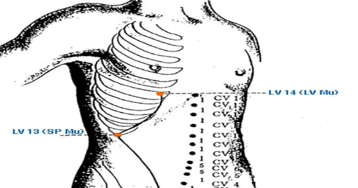 Akupuntur: Titik Meridian Liver