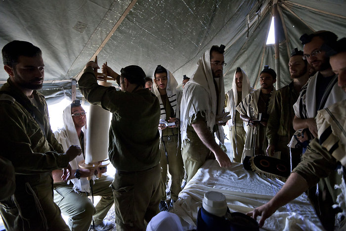 going home ... to yerushalayim: King David's Army