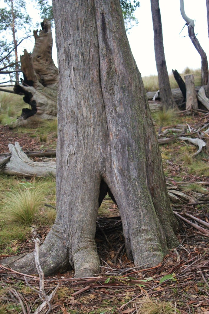 Reflections picture this...