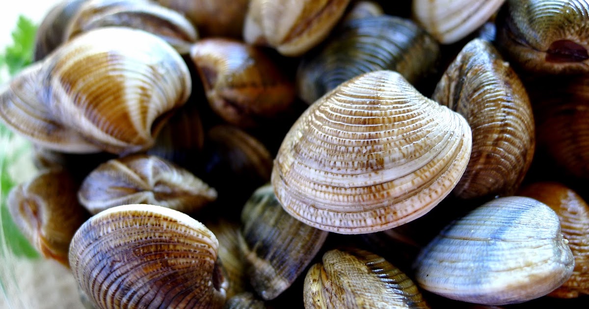 MY KITCHEN IN SPAIN: PLAYING CLAM ROULETTE
