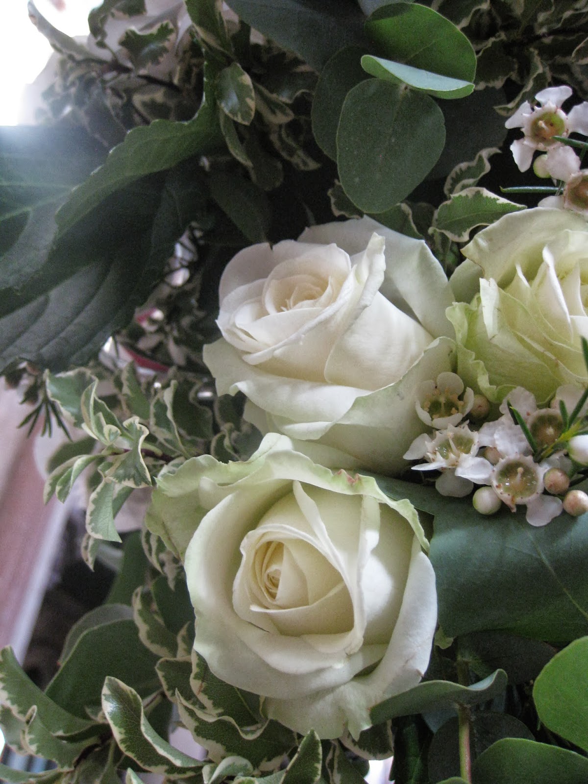 Laura Coleman Flowers: High Rangers