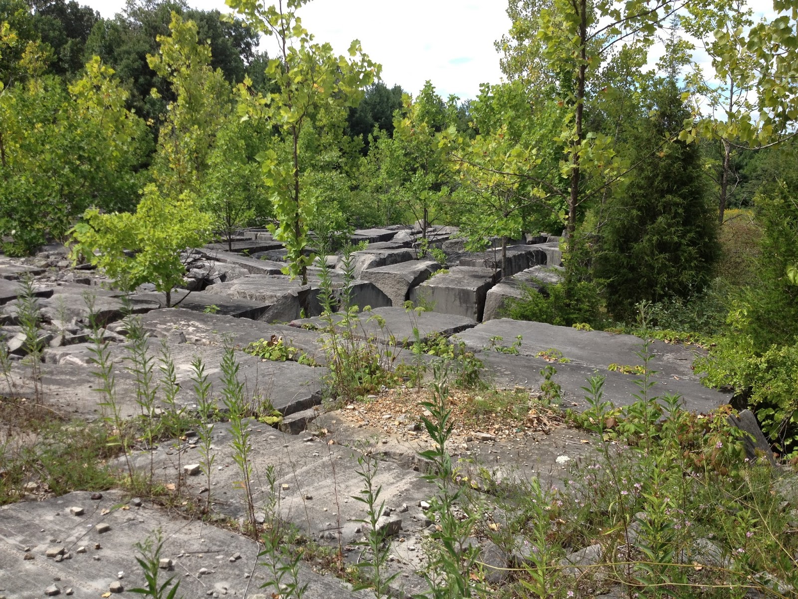 Eerie Indiana: The Great Pyramid of Bedford-Needmore, Indiana