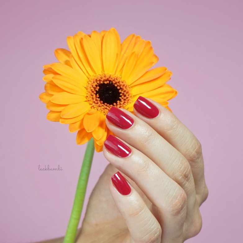 lackbambi: Ripe Guava