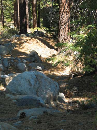 Reno Tahoe Plein Air Painters: Sept. 25, 2012 (Tues) Galena Creek ...