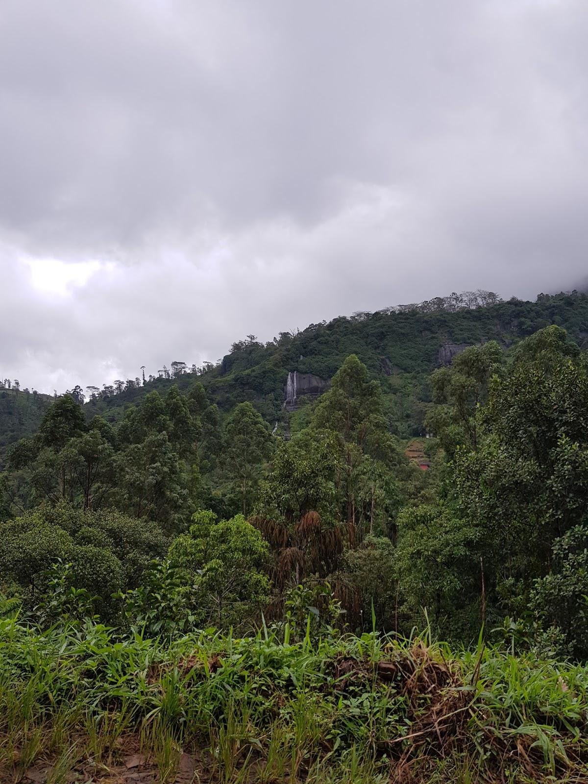 Road Trip - Colombo to Talawakelle, Nawalapitiya, Dolosbage, Dedugala ...