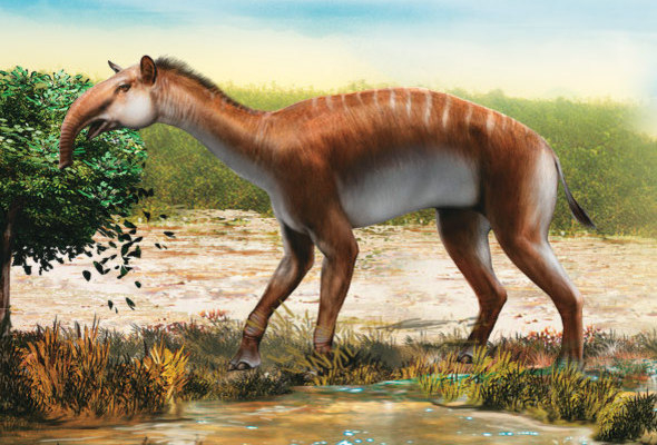 A Fauna Pré Historica