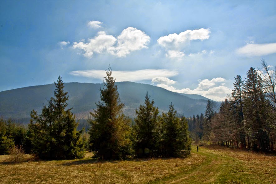 Na górskim szlaku: ROMANKA: tam, gdzie wciąż szumi pierwotny bór