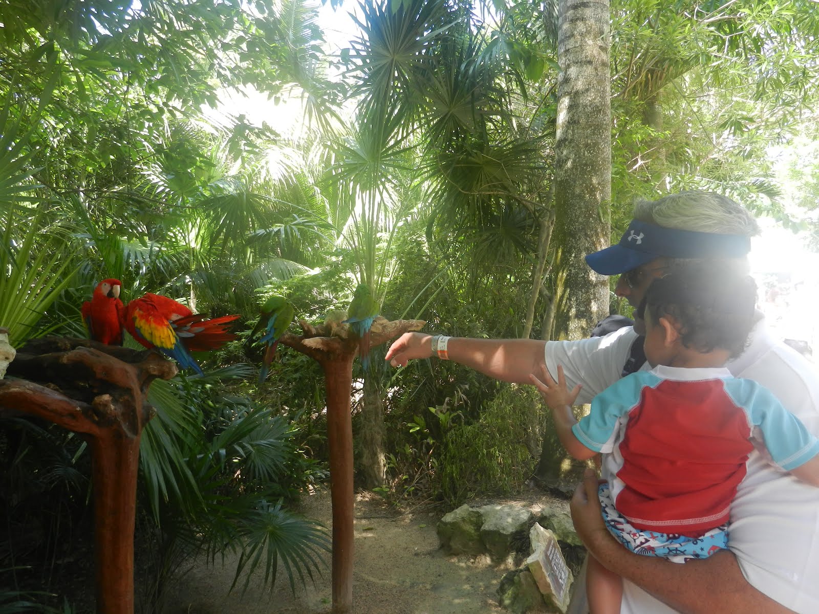 the preppy debutante: Moses in Xcaret