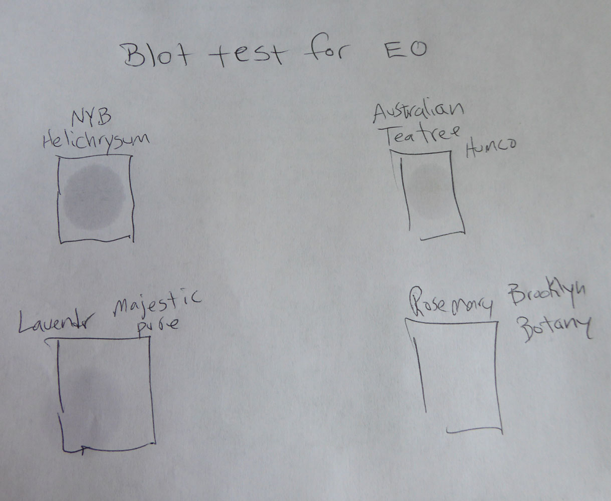 The Enchanted Tree: New York Biology Essential Oils- Blot Test ...