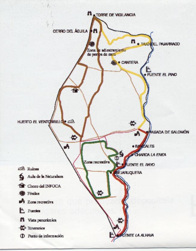 MUCHO+queCORRER: ZONAS DE ENTRENAMIENTO: PINAR DEL REY EN SAN ROQUE