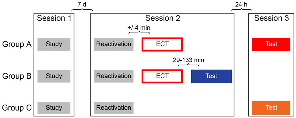 The Neurocomplimenter: Electroconvulsive Therapy Impairs Memory ...