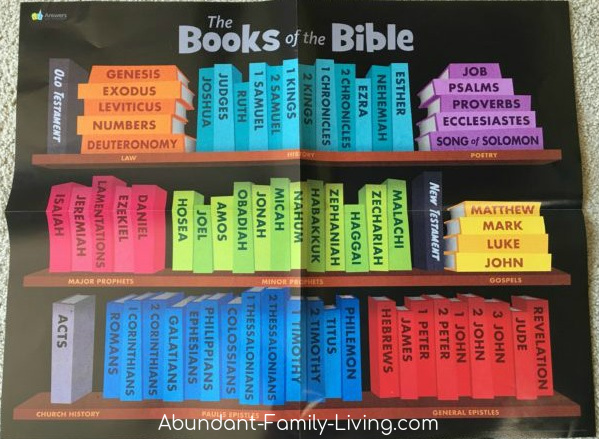 Abundant Family Living: God’s Word is Our Foundation: Answers in ...