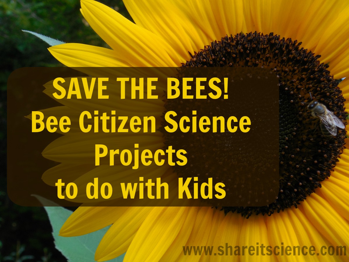 Share it! Science : Save the Bees! Bee Citizen Science Projects for ...