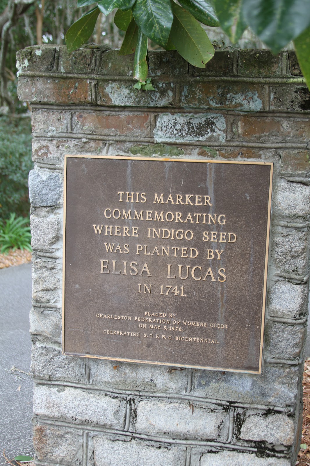 Moving Above Ground: Eliza Lucas Pinckney and Indigo