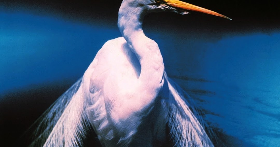 Faith No More - Angel Dust (1994 Reissue) ☠ ~ Mediasurfer.ch