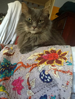 CatsandCrocs: Thith-Thith-Thith-Thith