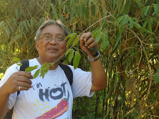 Isinay Bird: Ariwat Memories