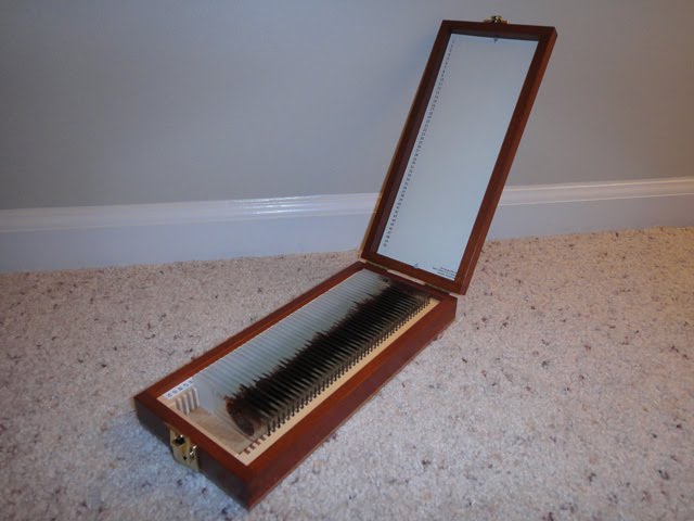 The Project Workbench: Dexter Blood Slide Trophy Box