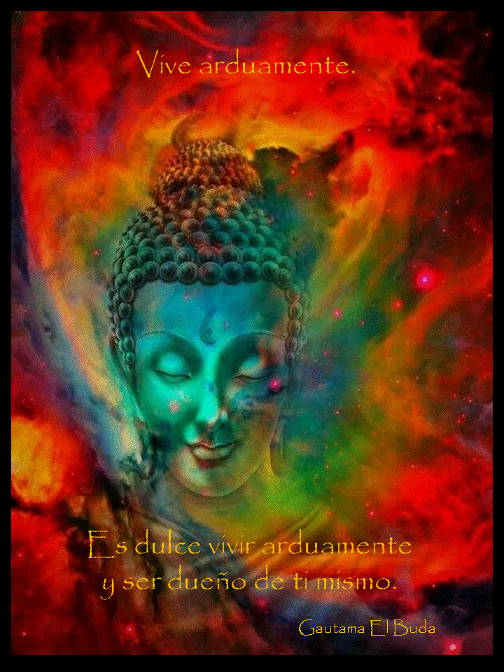 Celestial Healing: Frase de la semana del 6 al 12 de Julio 2014: Vive ...