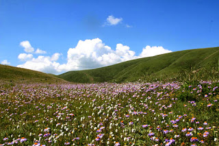 Stina ime e preferuar: Stina ime e preferuar