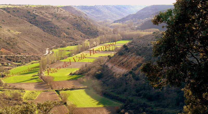 ALMADRONES Y EL GRECO: LOS TOPÓNIMOS DE ALMADRONES