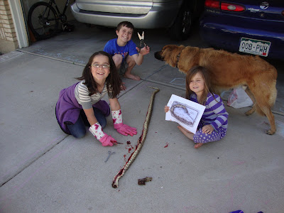 rockymountainhi5: snake for science...