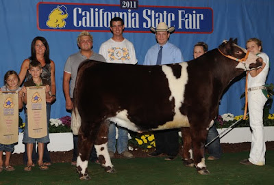 California State Fair | Matt Lautner Cattle
