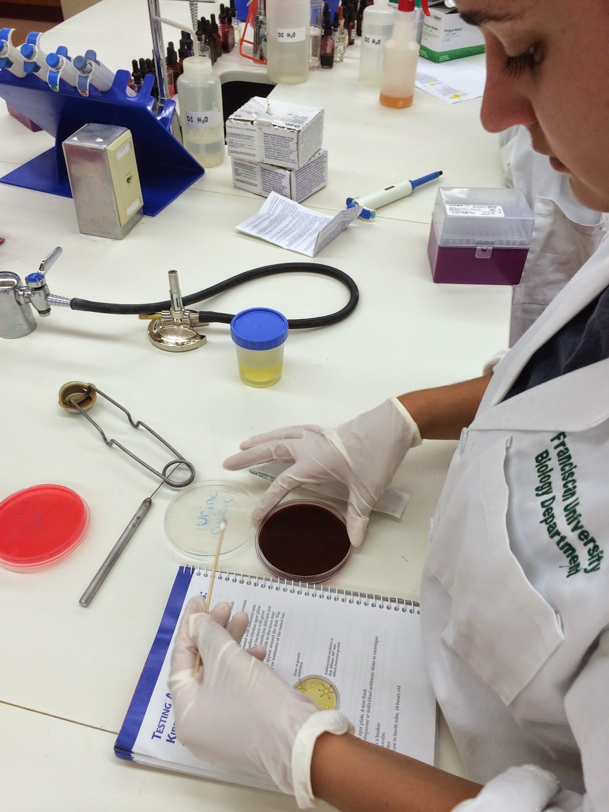 Getting Bacteria Samples