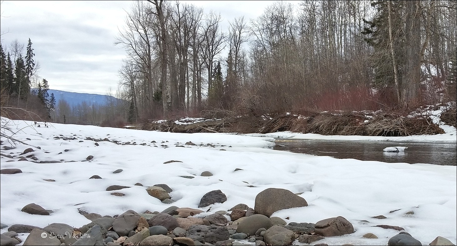 Northern Interior British Columbia: Winter’s Thaw 5 Bulkley River ...