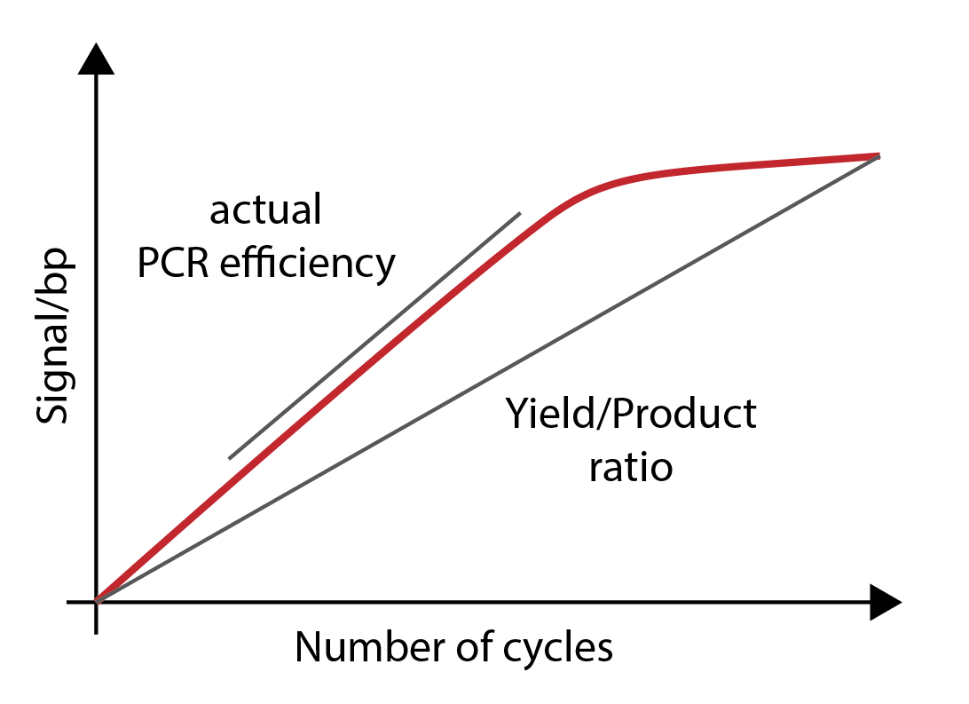PCR distribution