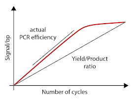 The art of blowing up protein: PCR distribution