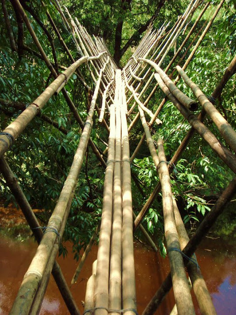 Cats City Hornbill Land: THE BIDAYUH..... who so enchanted the first ...