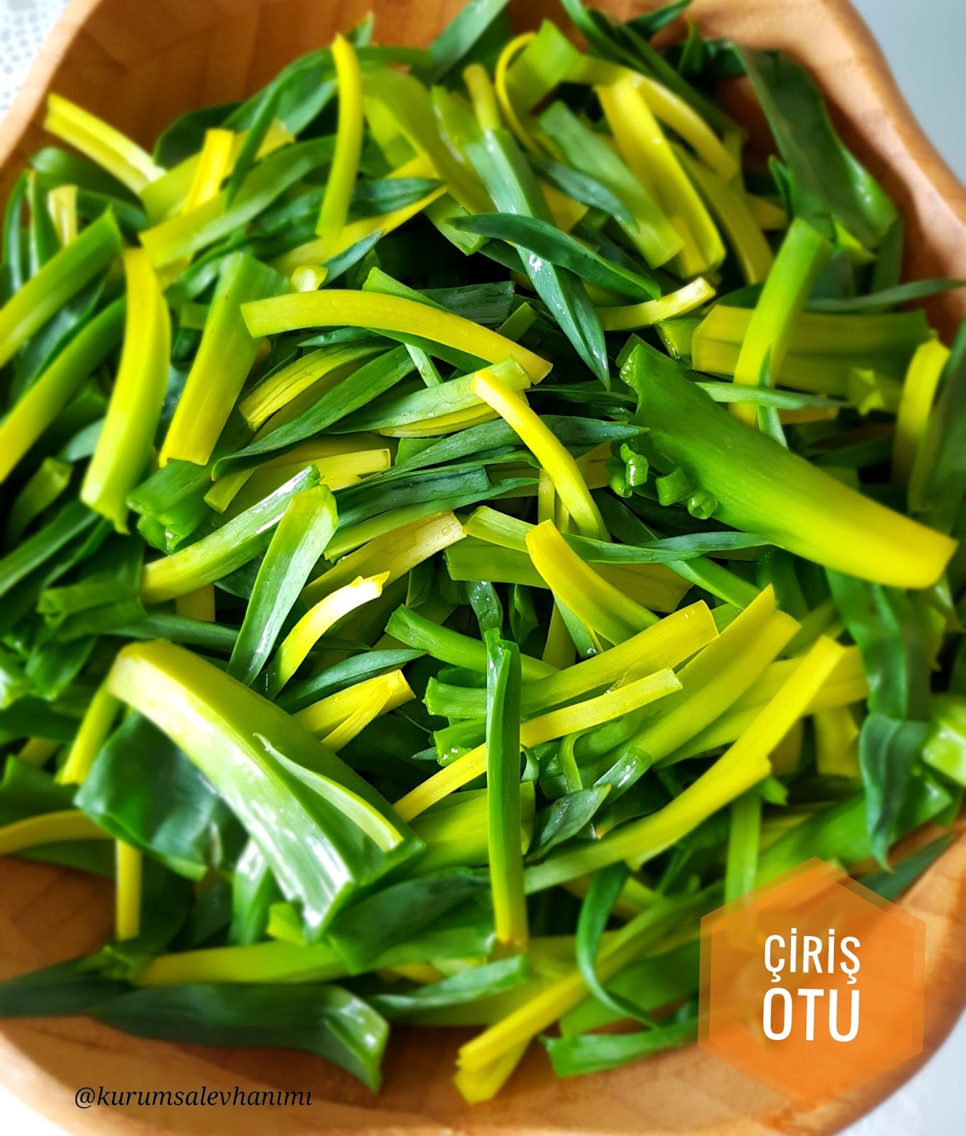 Çiriş Otu Faydaları ve Yemeği - Kurumsal Ev Hanımı