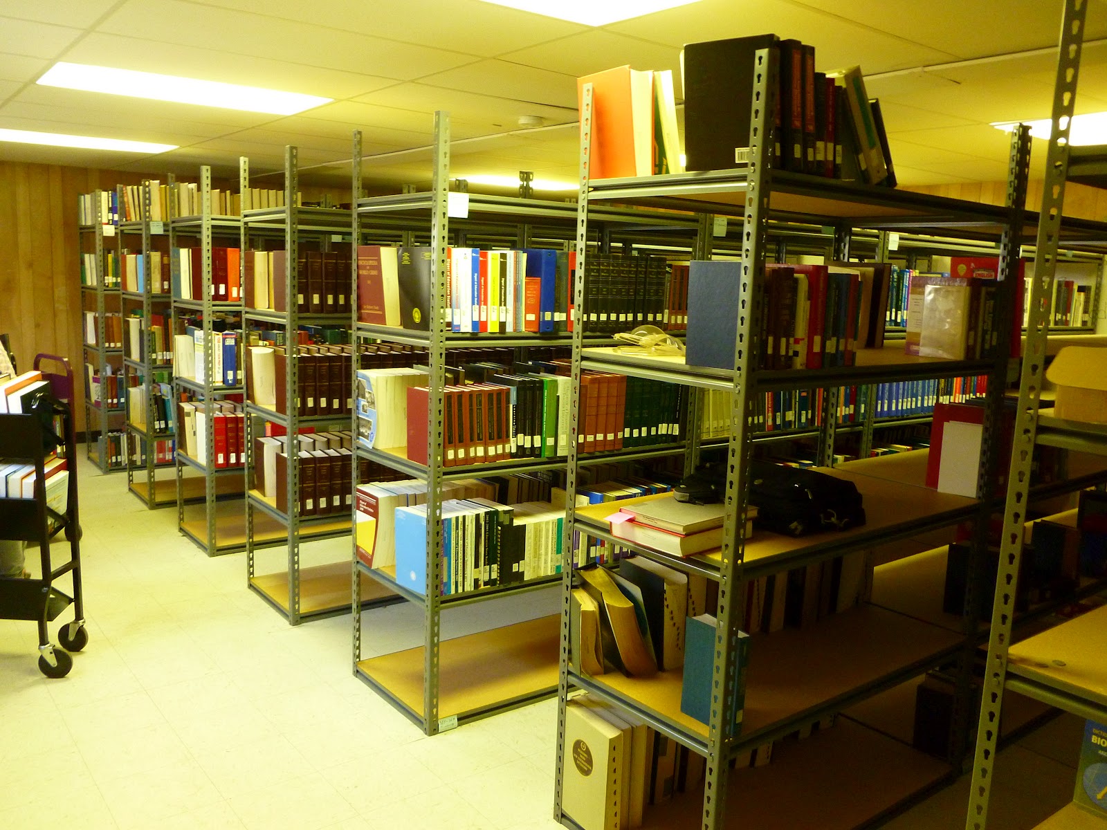 Delgado Community College Libraries Blog: Reference Inventory Underway