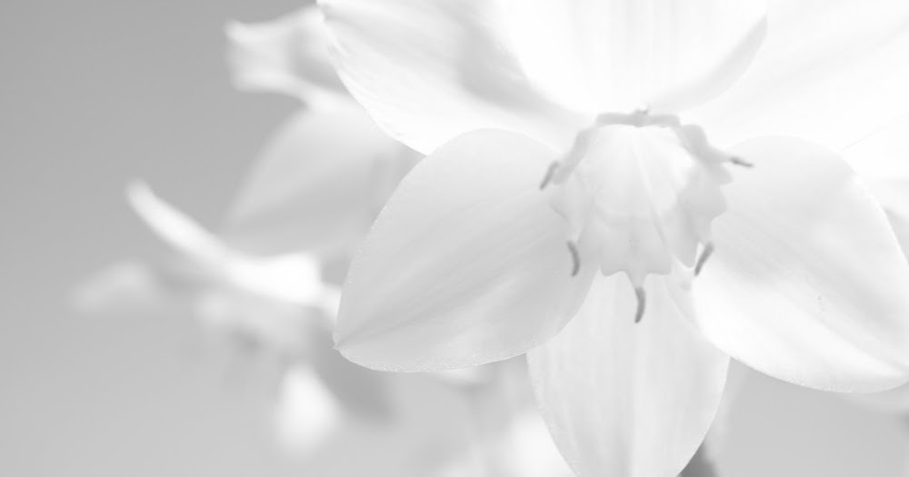 Psicología de los colores: El simbolismo de los colores y cómo éstos ...