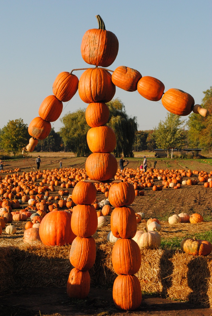 Lori's Lipsmacking Goodness: Bigger Zucchini Cake
