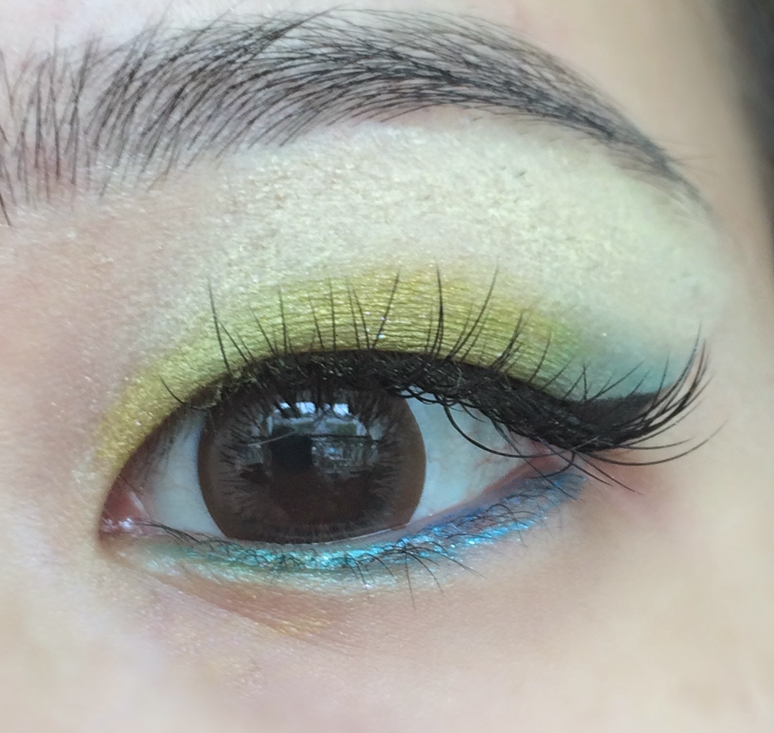WorkingWithMonolids: Tutorial: Glittery Green & Teal Eye
