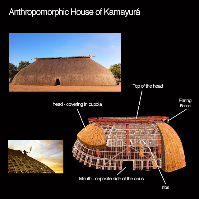 Indigenous Brazilian People in Brazil: Kamayurá