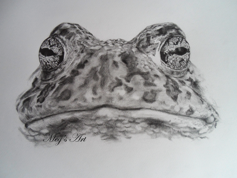 Coins and Scrolls: OSR: 3 Types of Modules