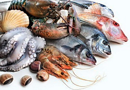 Jual Hasil Laut dan Olahannya : Jual Ikan Segar - Jual Hasil Laut dan ...