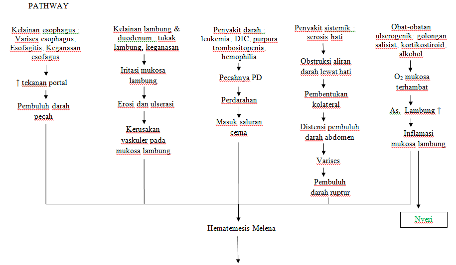 Askep Hematemesis Melena