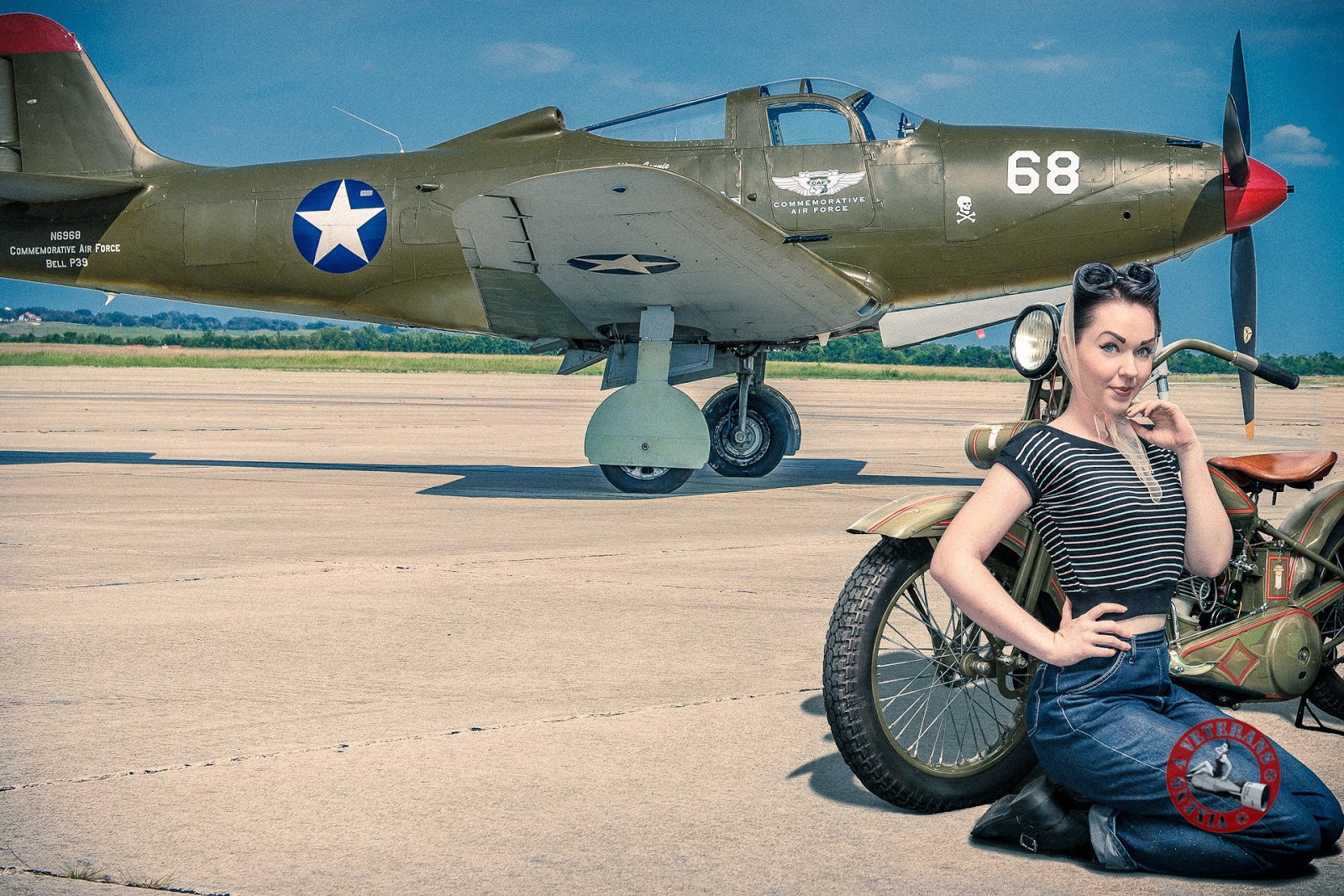 my homebuilt cockpit: La pin up de la semaine