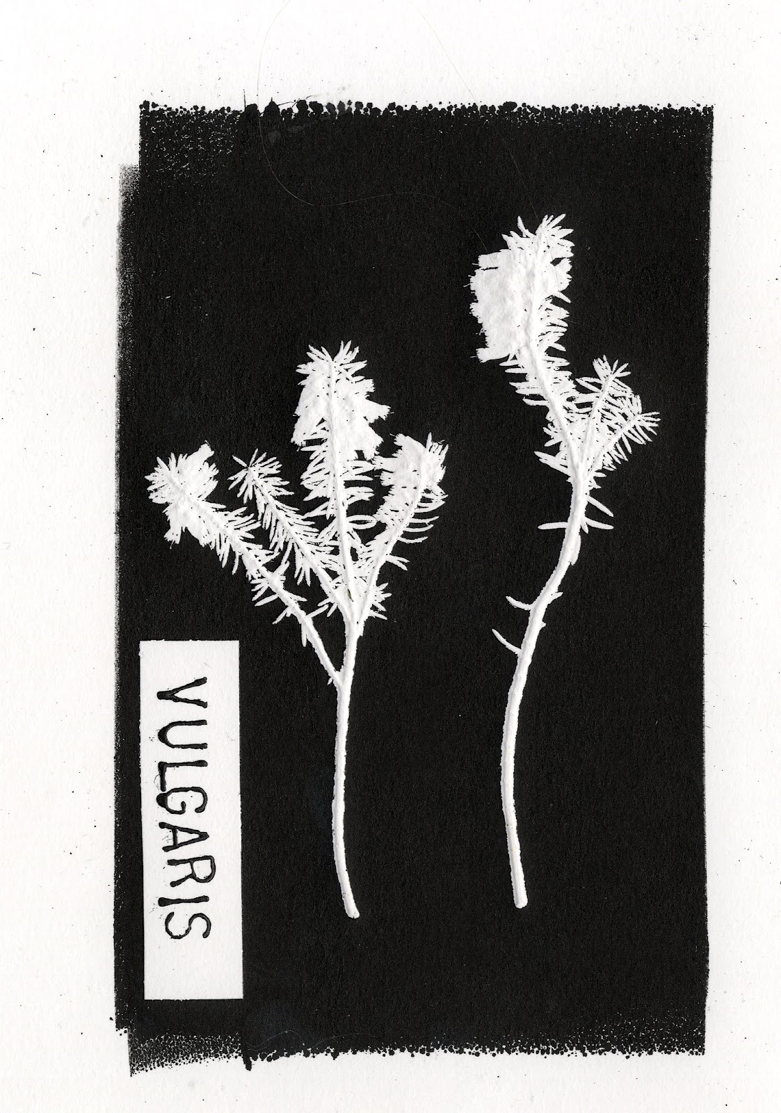 Daisy Waite: April 2012